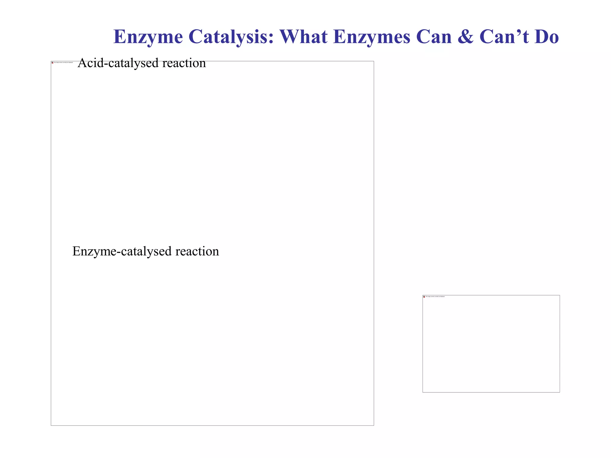 intro_to_enzymes.ppt