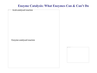 intro_to_enzymes.ppt