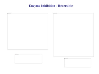 intro_to_enzymes.ppt