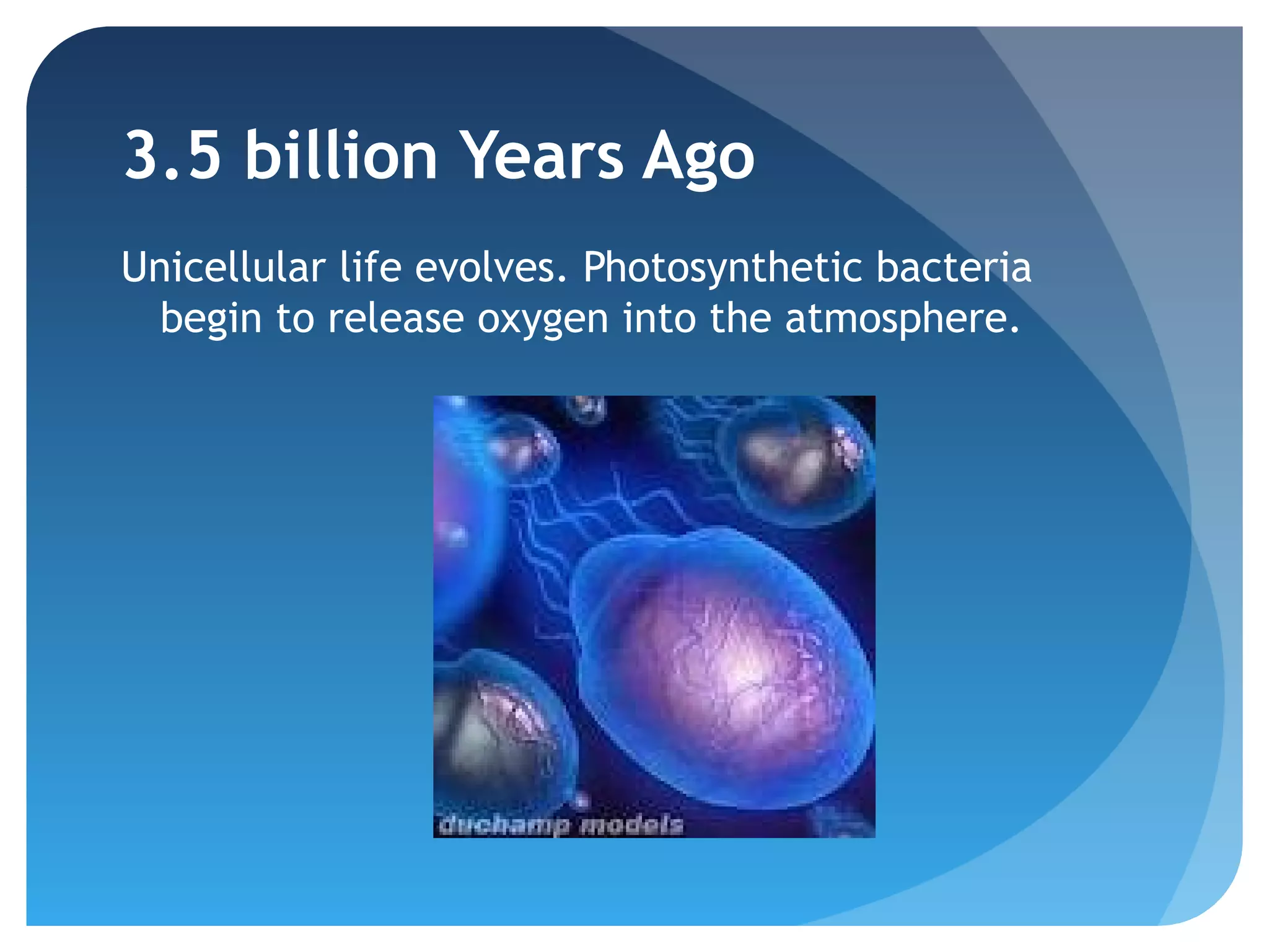 Intro to evolution | PPT