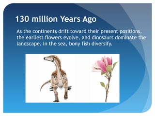 Intro to evolution | PPT