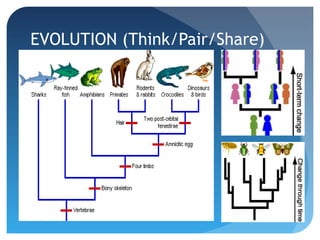 Intro to evolution | PPT