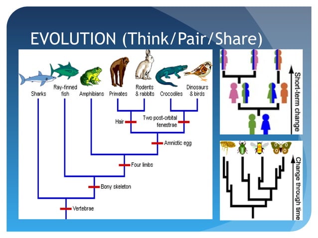 Intro to evolution | PPT | Biological Sciences | Science