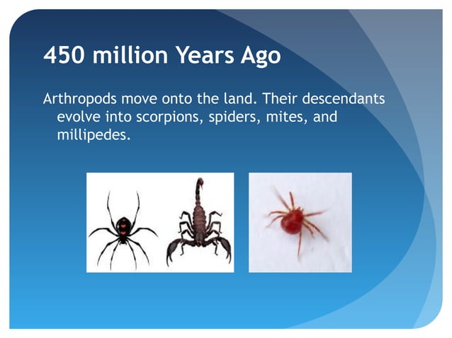 Intro to evolution | PPT | Biological Sciences | Science