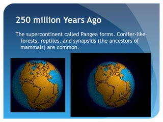 Intro to evolution | PPT
