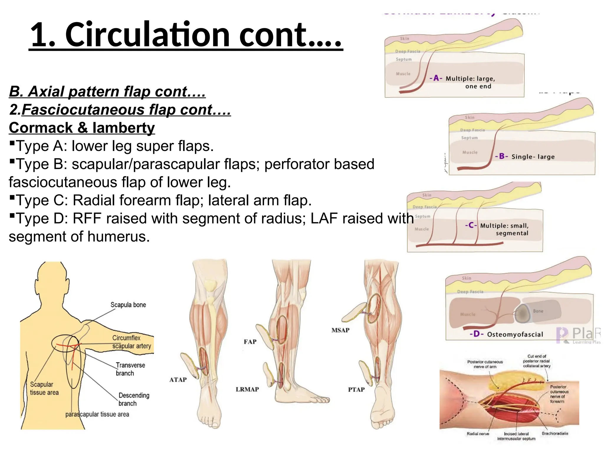 introduction to flaps presentation pptx. | PPT