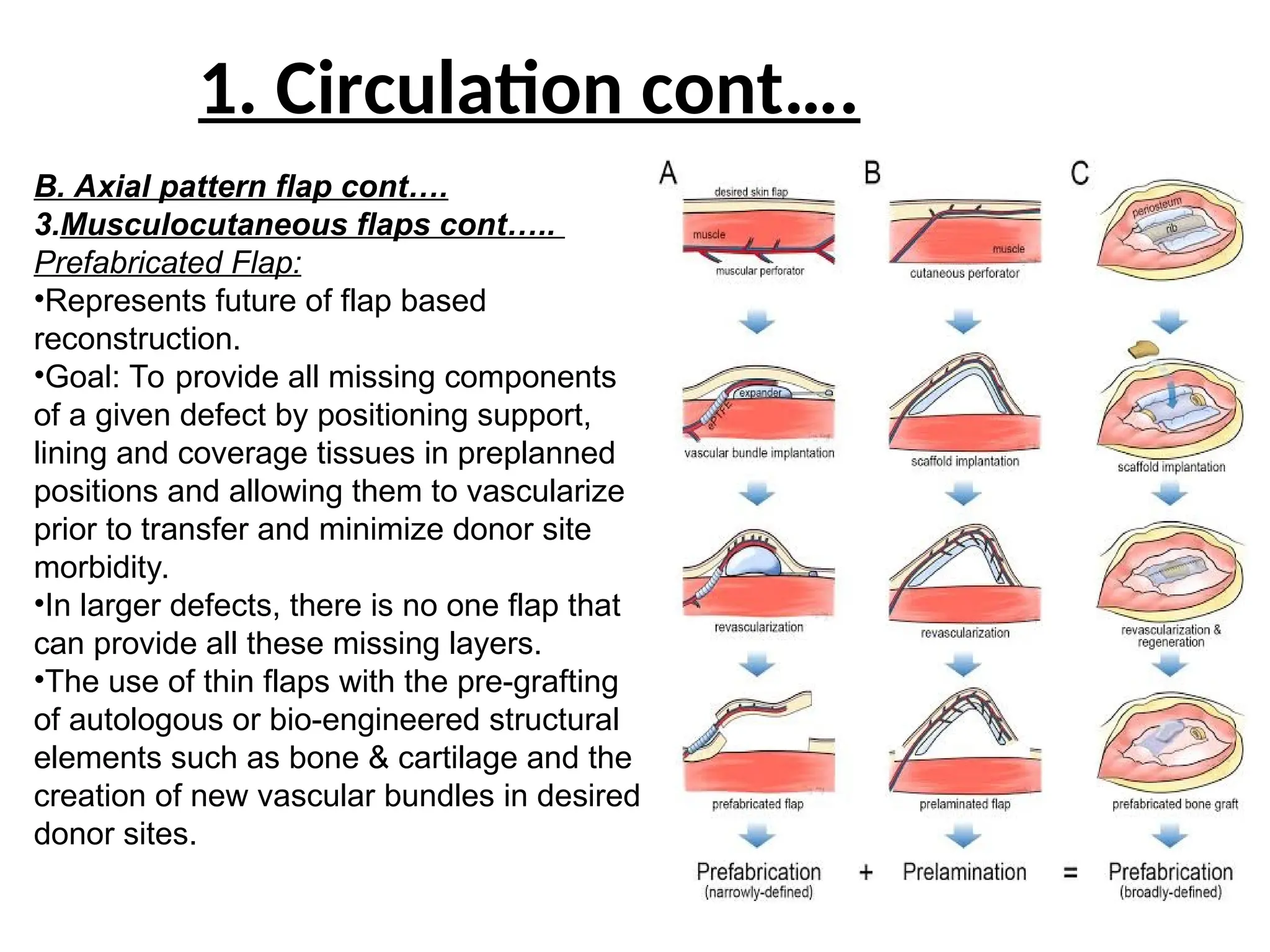 introduction to flaps presentation pptx. | PPT