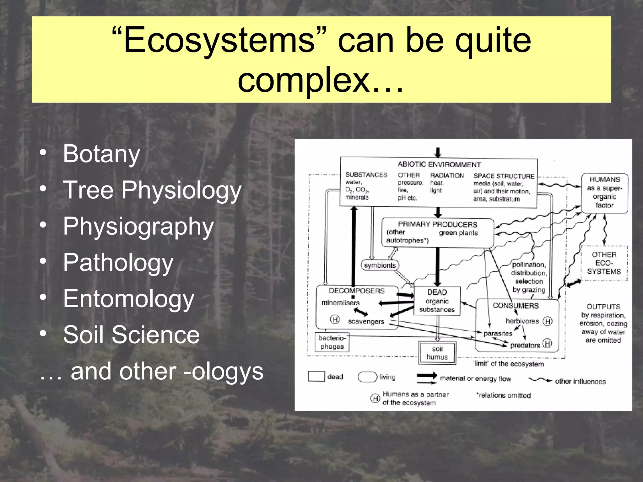 Intro To Forest Ecology | PPT