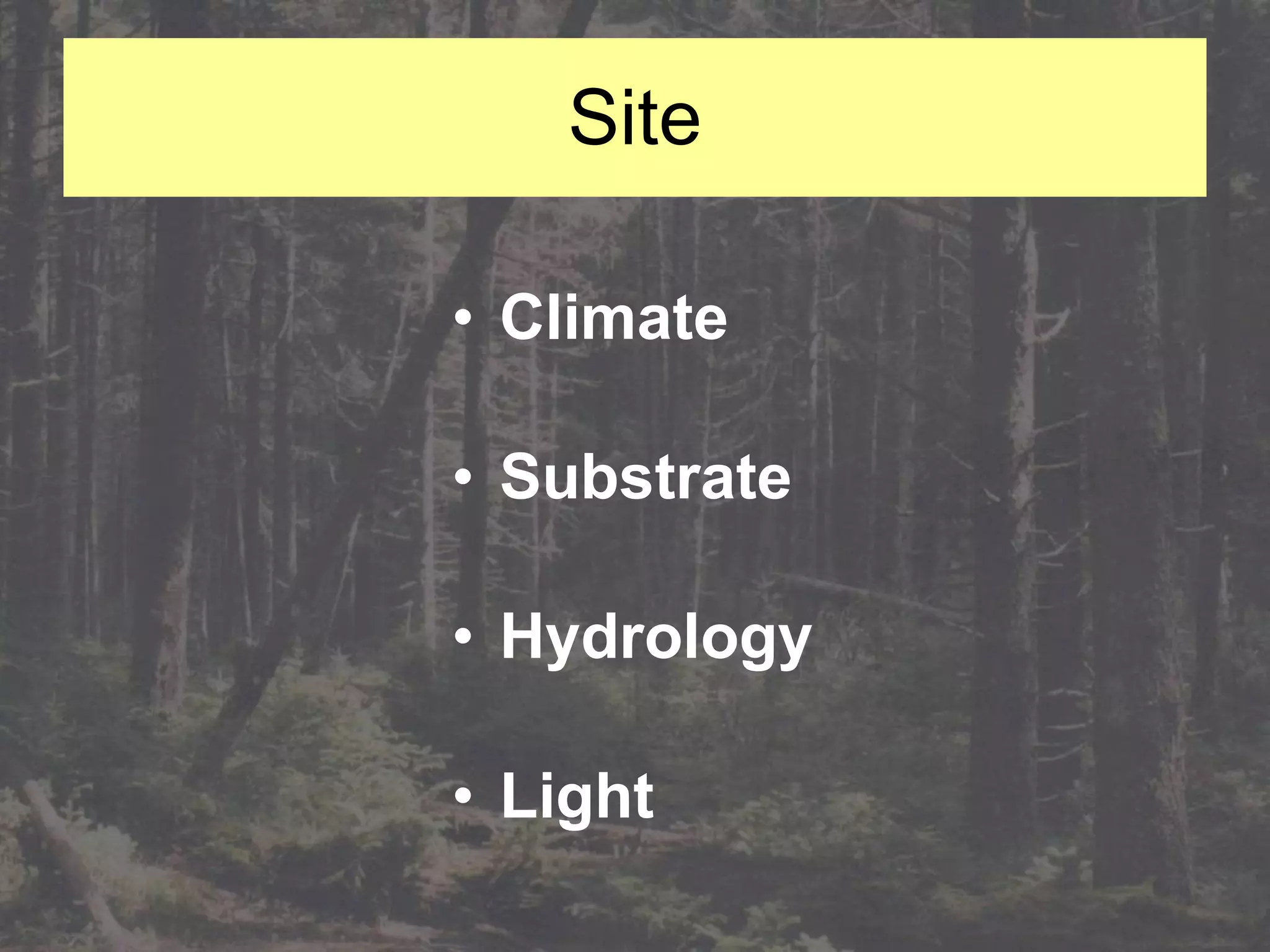 Intro To Forest Ecology | PPT