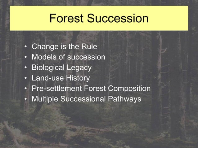 Intro To Forest Ecology | PPT | Geography | Science