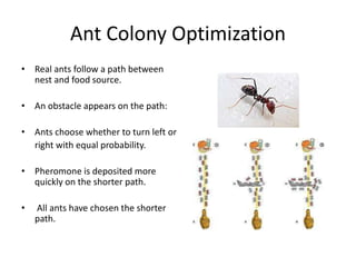 Introduction to Genetic Algorithm | PPT