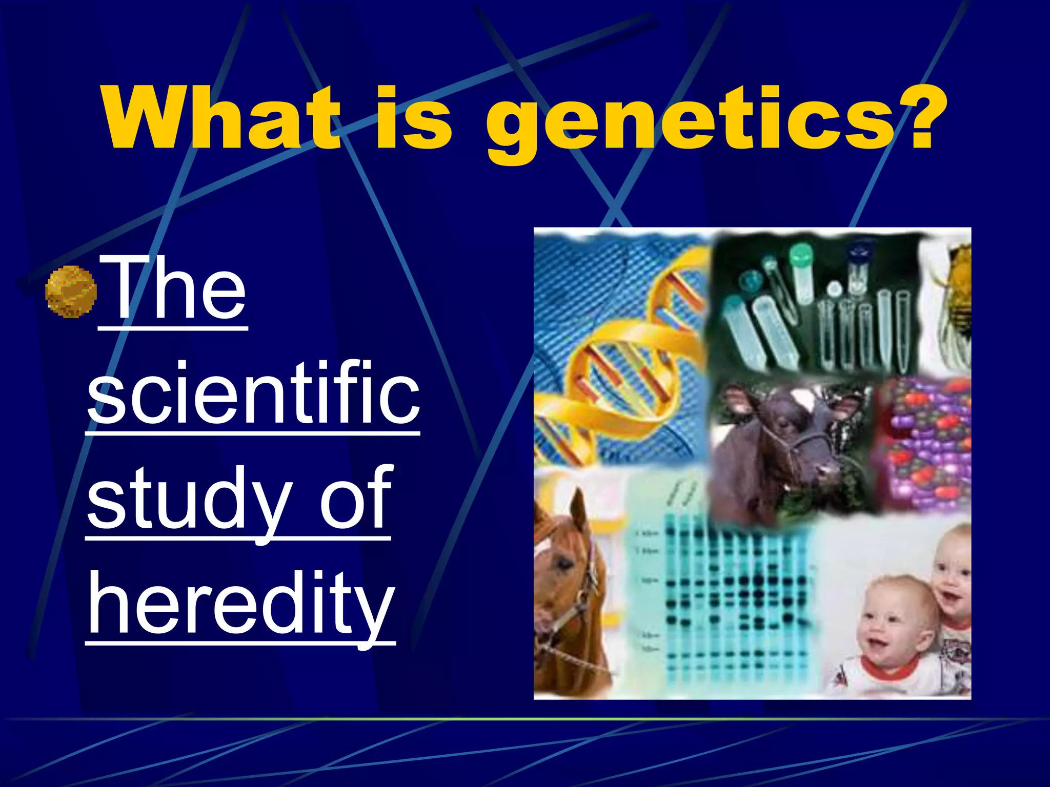 Intro to Genetics.ppt