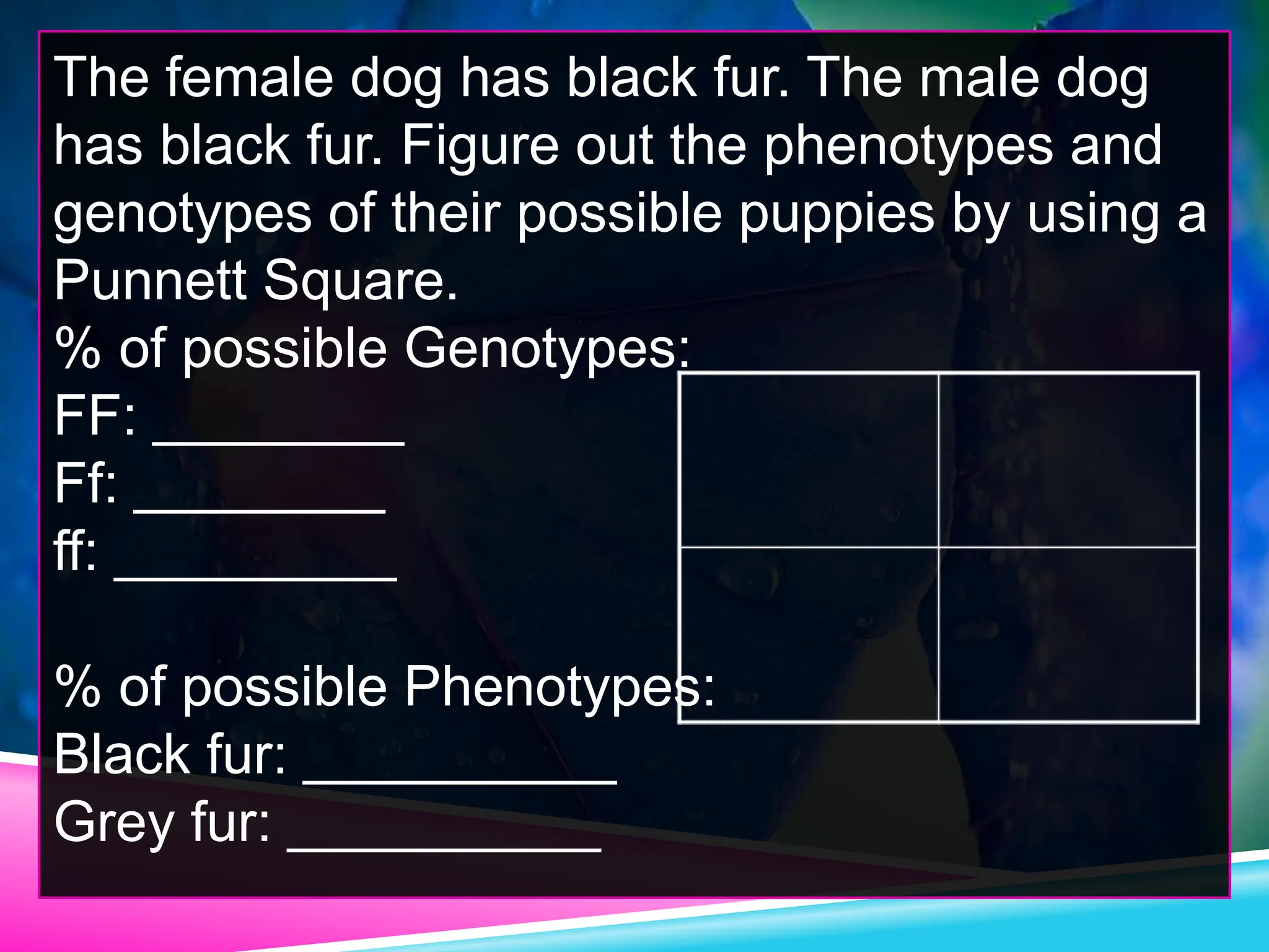 Intro to Genetics.pptx- SCIENCE- BIOLOGY | PPTX