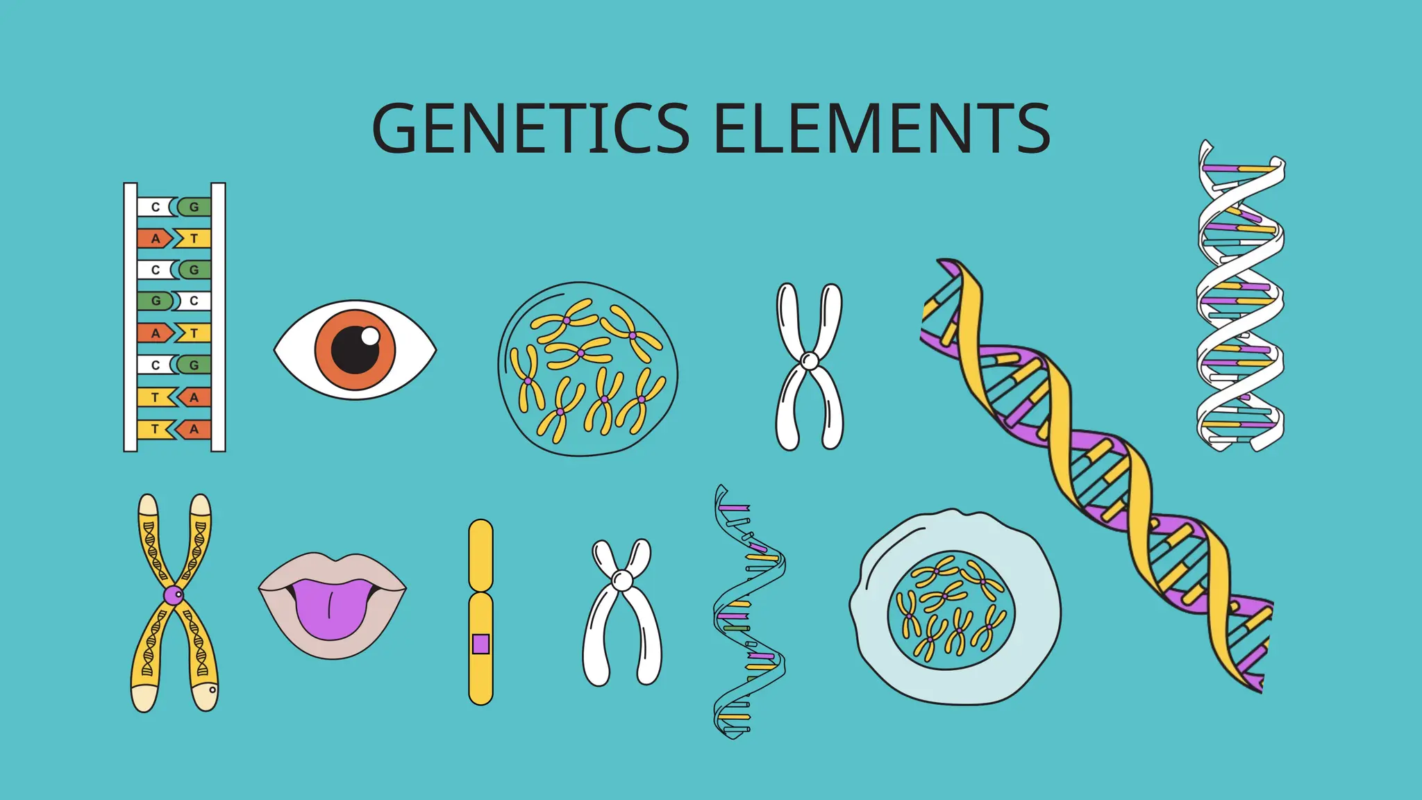 Introduction to genetics- HISTORY OF GENETICS | PPTX