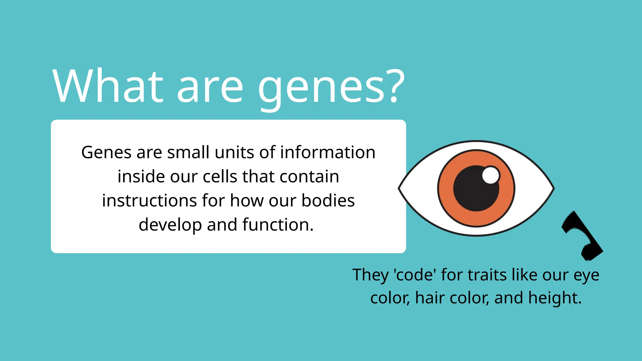 Introduction to genetics- HISTORY OF GENETICS | PPTX
