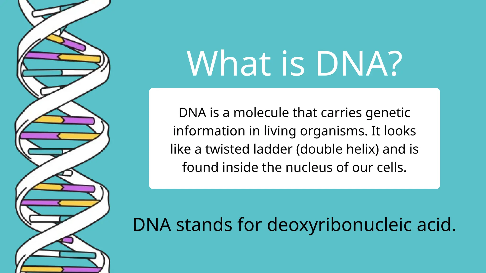 Introduction to genetics- HISTORY OF GENETICS | PPTX
