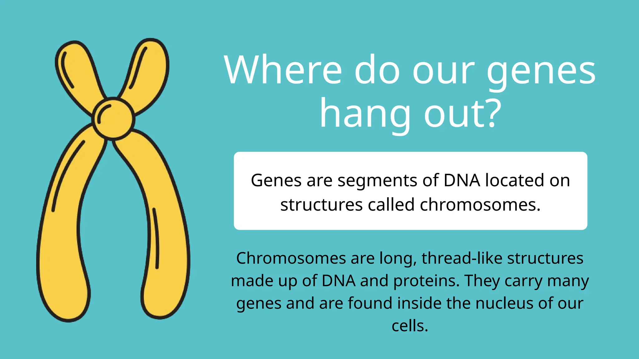 Introduction to genetics- HISTORY OF GENETICS | PPTX