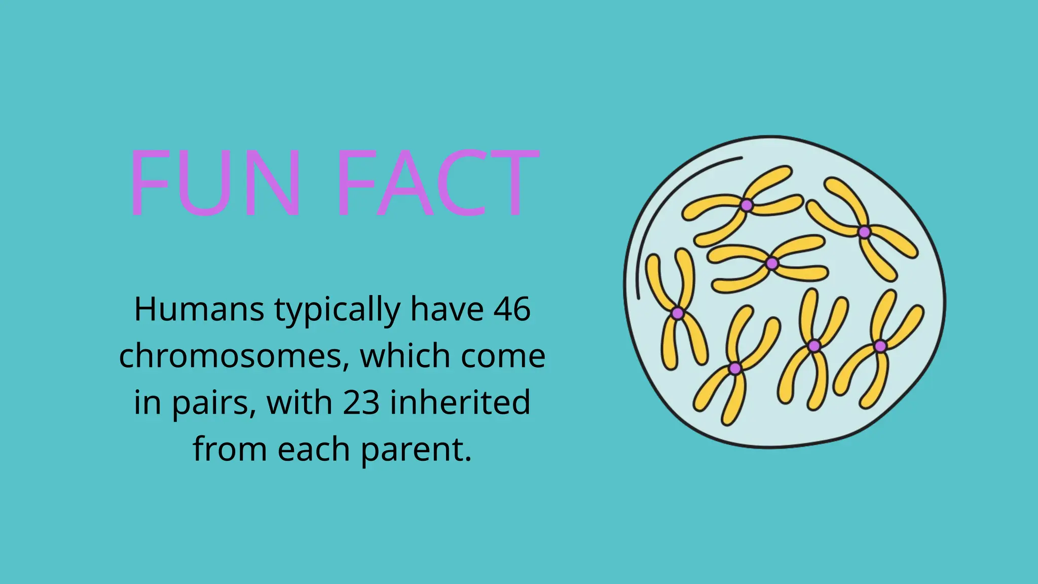 Introduction to genetics- HISTORY OF GENETICS | PPTX