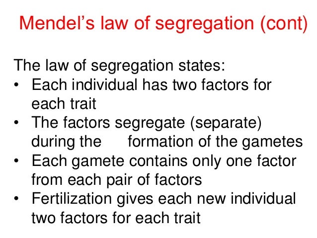 Mendel39s Law Of Segregation Definition Explanation