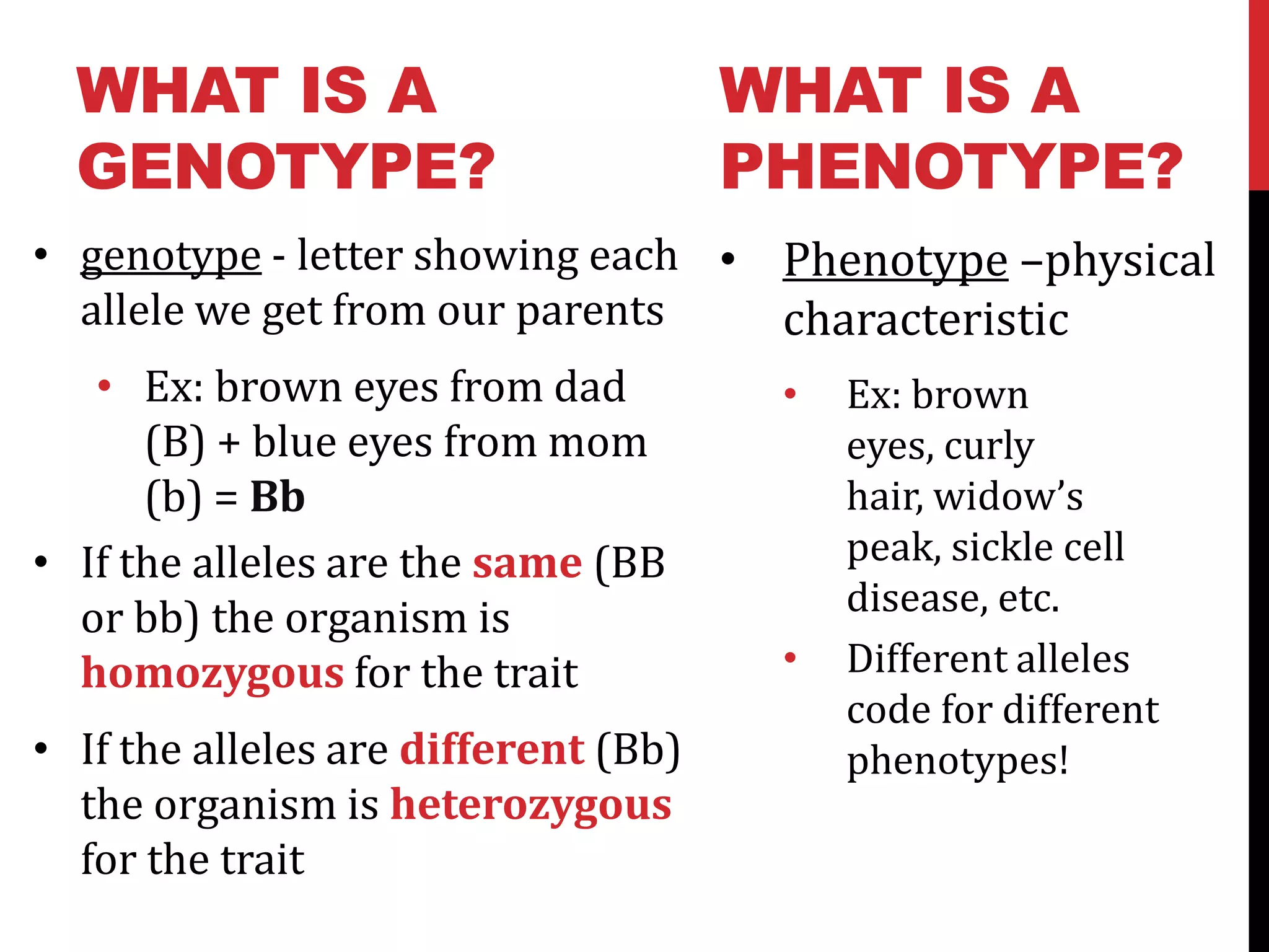 Intro to genetics ppt | PPTX
