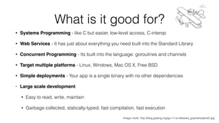 Intro to Go | PDF | Web Development | Internet