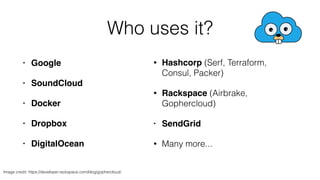Intro to Go | PDF | Web Development | Internet