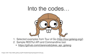 Intro to Go | PDF | Web Development | Internet