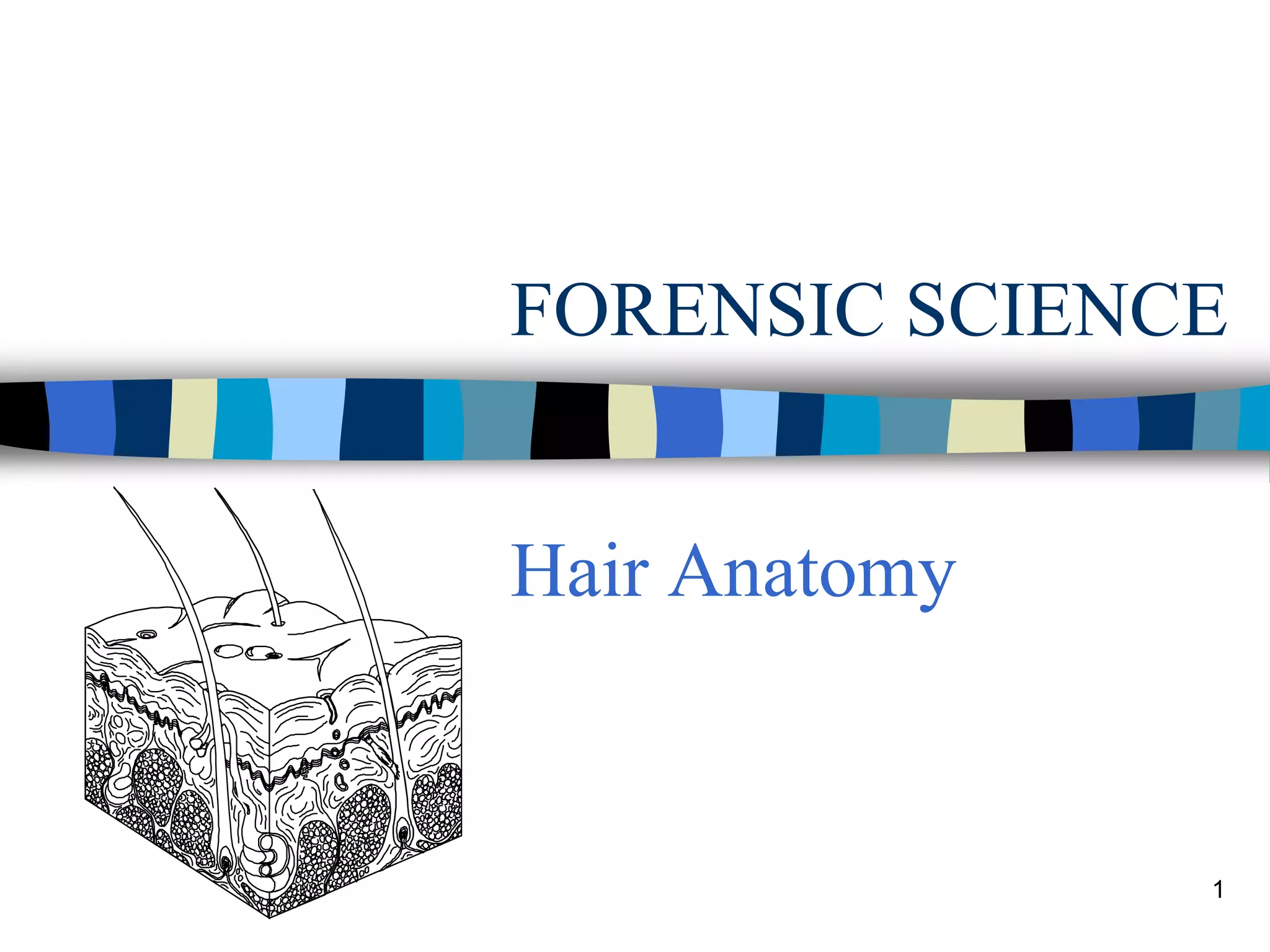 Introduction to hair | PPTX