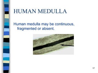 Introduction to hair | PPTX