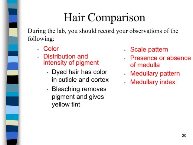 Introduction to hair | PPTX