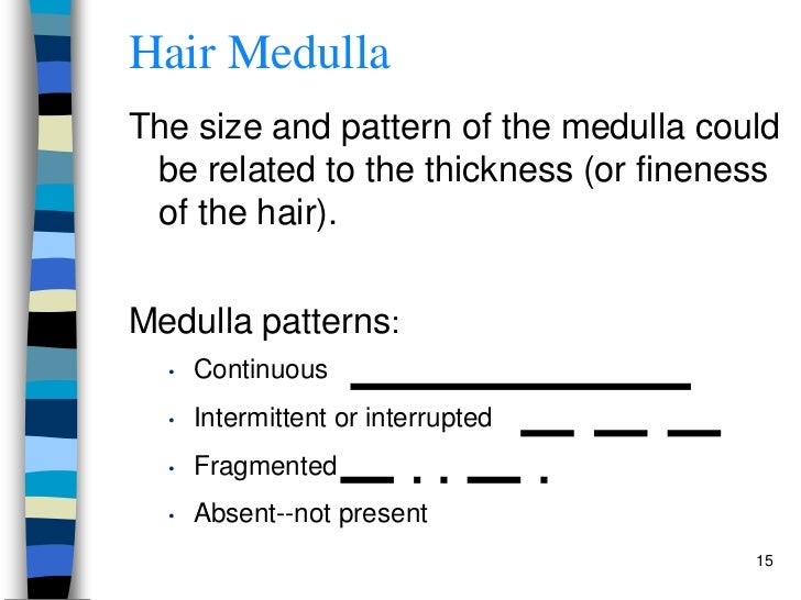 Medulla Patterns