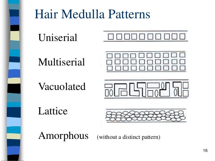Medulla Patterns