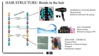 Intro to hair week 1 | PPTX
