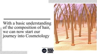 Intro to hair week 1 | PPTX
