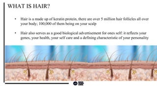 Intro to hair week 1 | PPTX