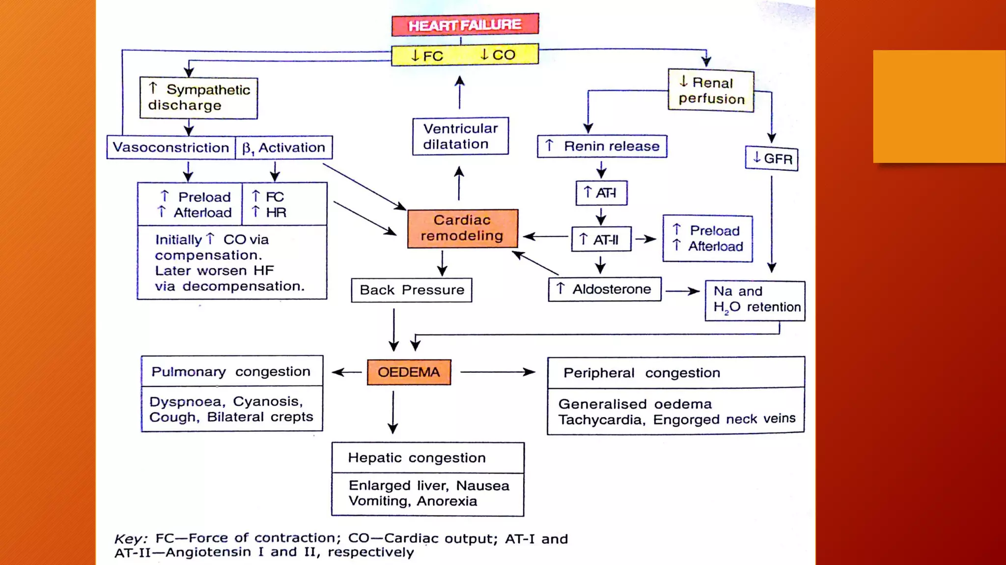 Introduction to heart failure | PDF