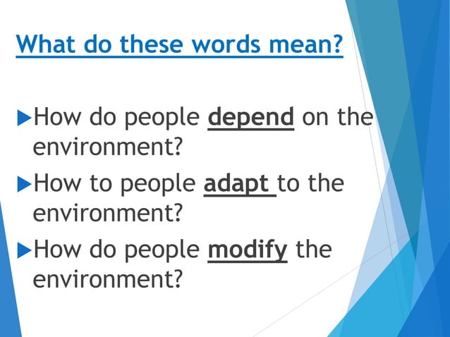 HEI Vocabulary Words | PPT