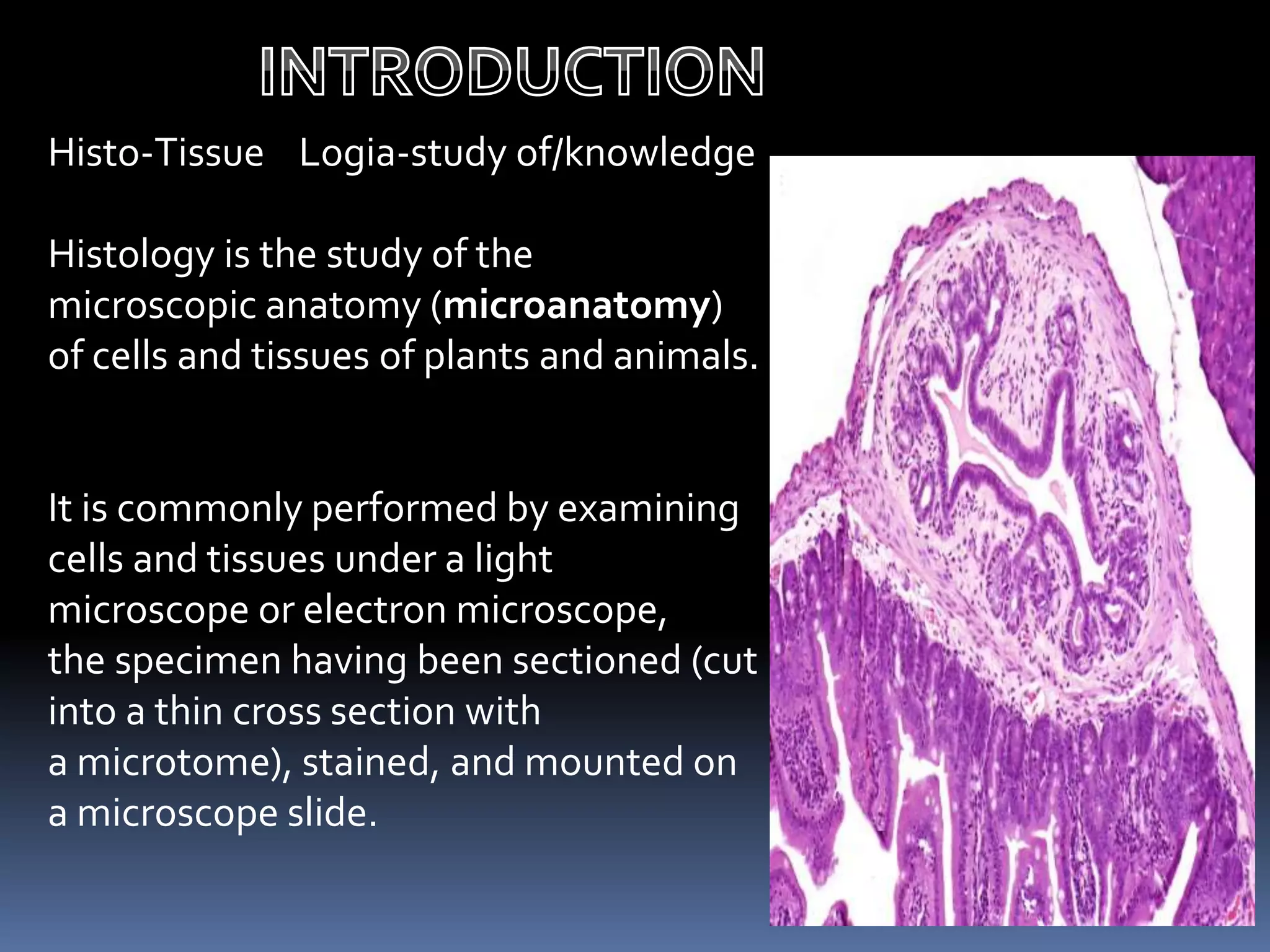 Intro to histology | PPTX