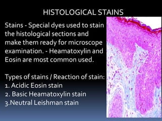 Intro to histology | PPTX
