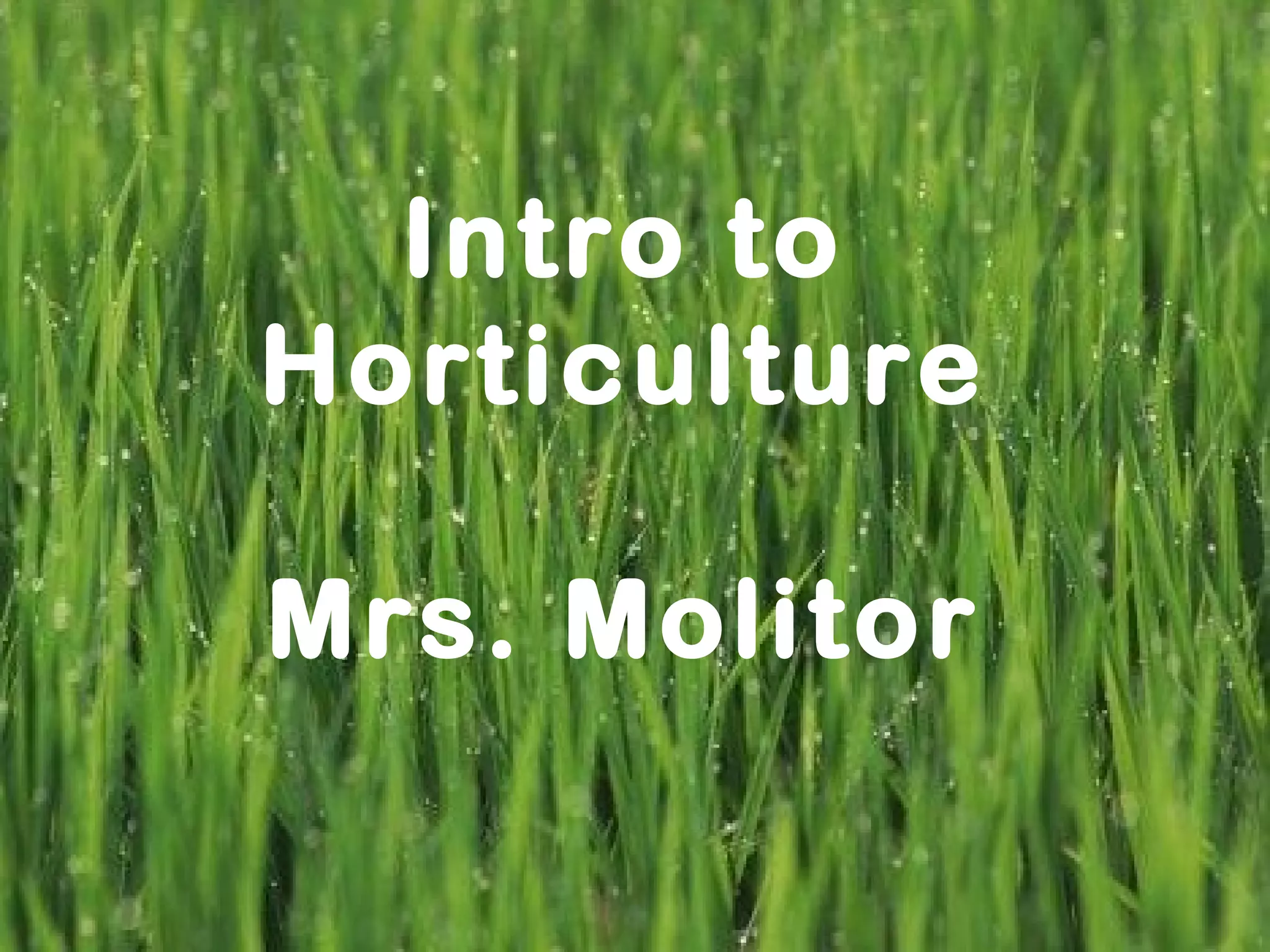 Intro to horticulture | PPT