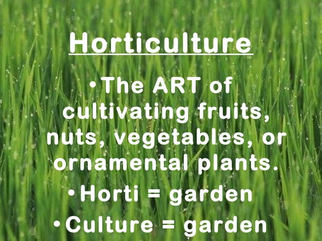 Intro to horticulture | PPT