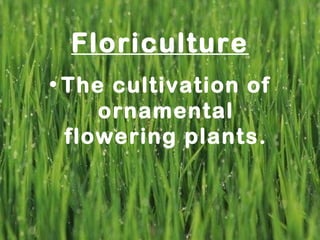 Intro to horticulture | PPT