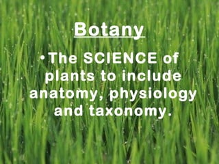 Intro to horticulture | PPT