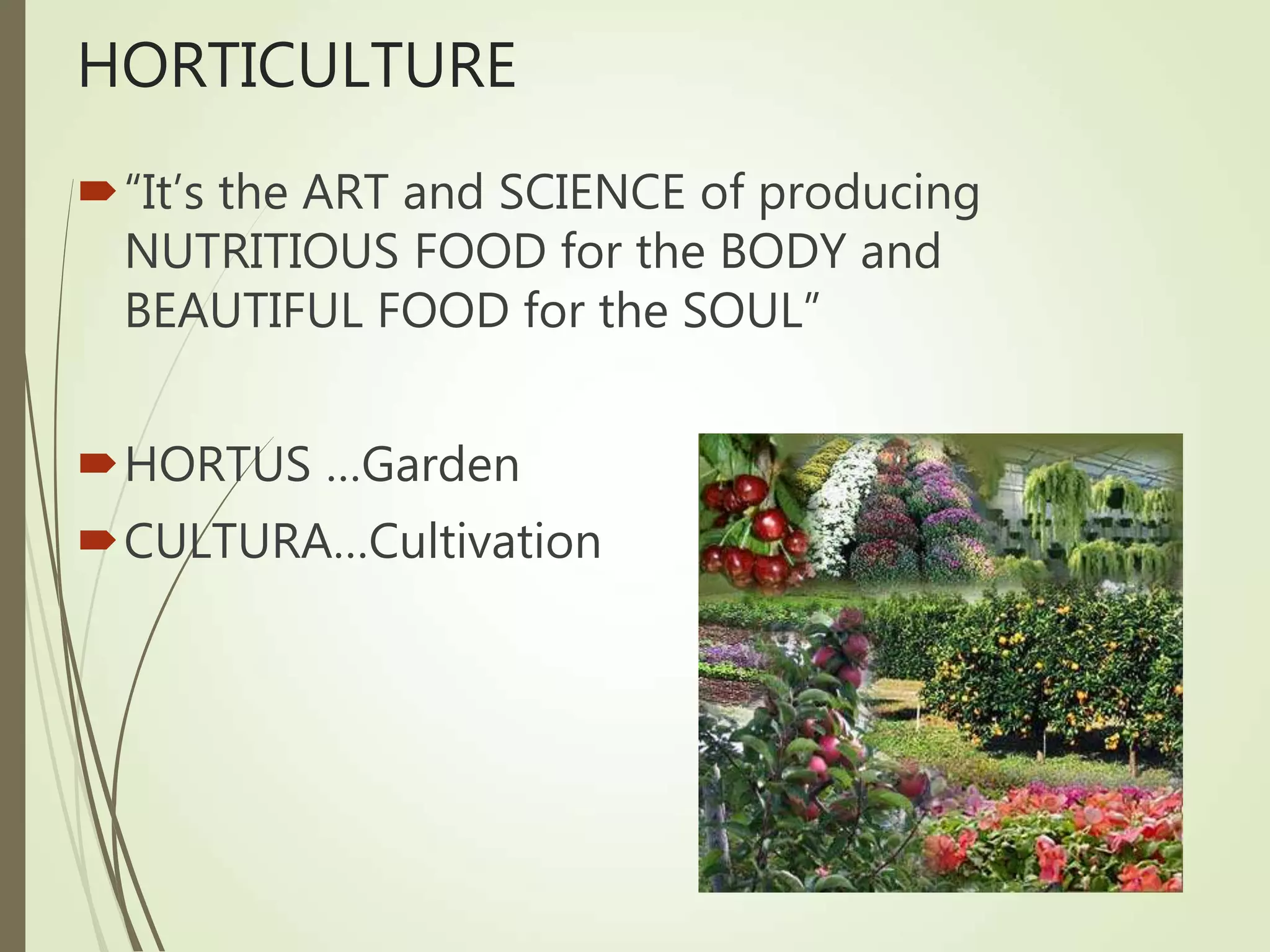 Intro to horticulture | PPT