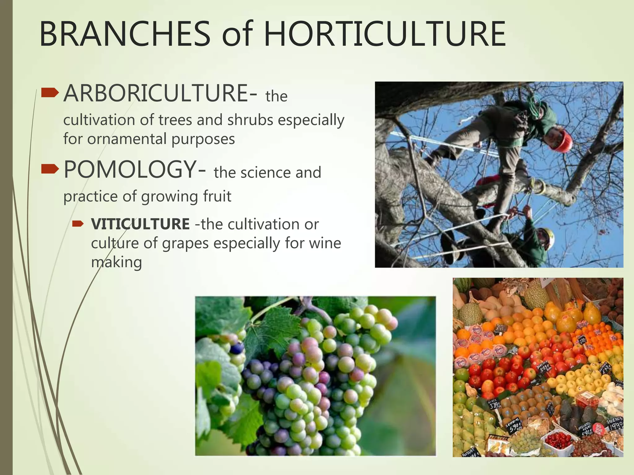 Intro to horticulture | PPT