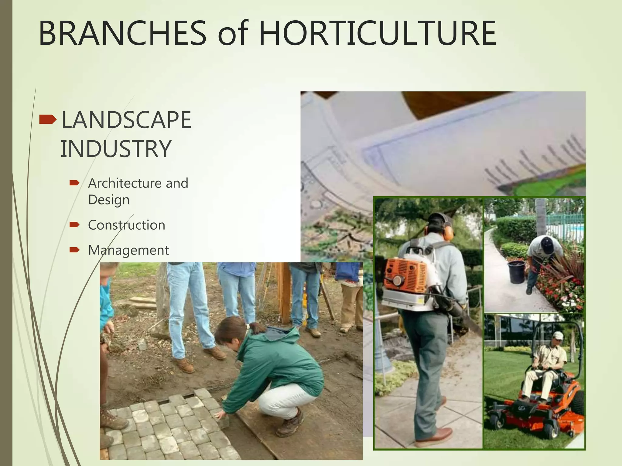Intro to horticulture | PPT
