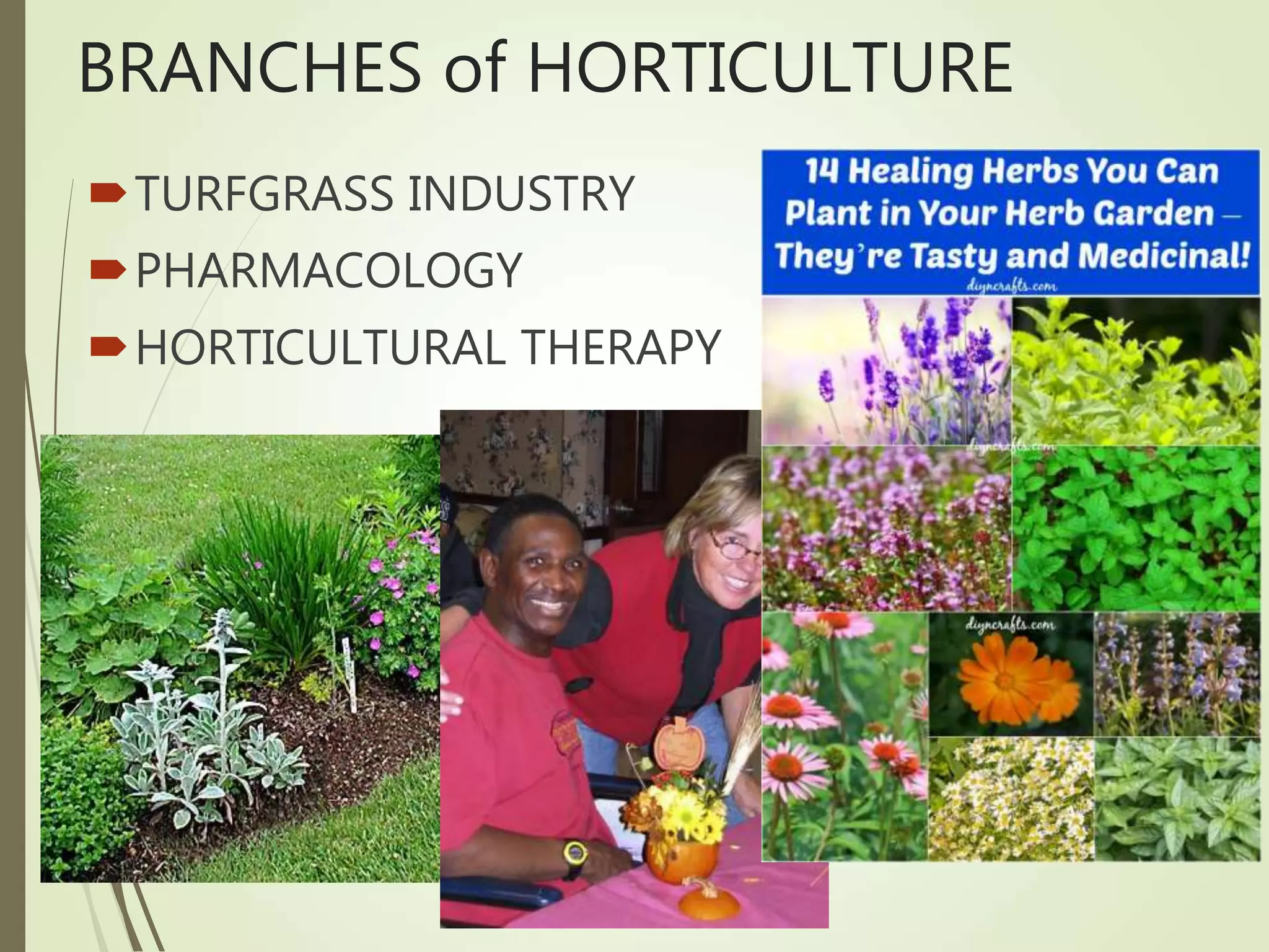 Intro to horticulture | PPT