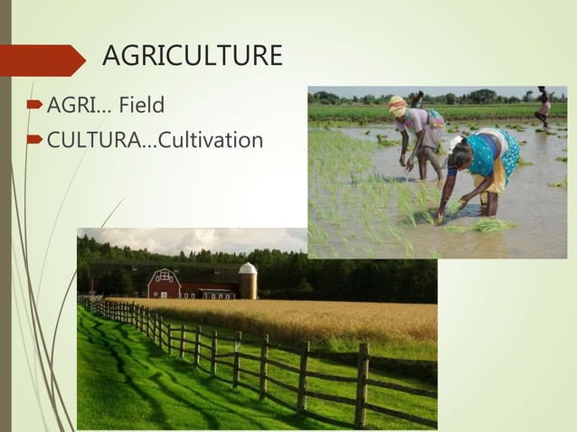 Intro to horticulture | PPT