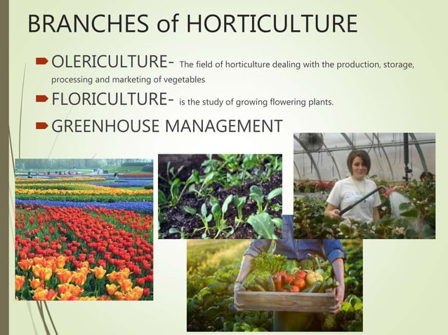 Intro to horticulture | PPT
