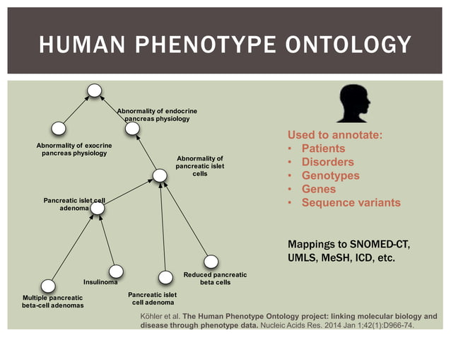 The Application of the Human Phenotype Ontology | PPT